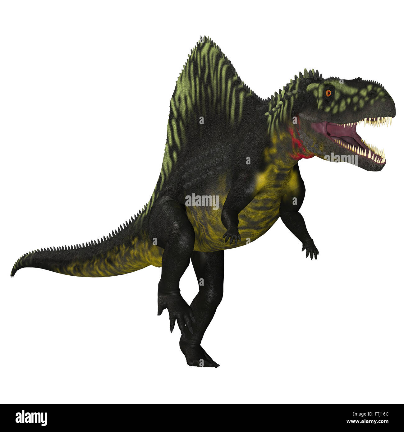 Arizonasaurus was a sailback carnivorous archosaur that lived in ...