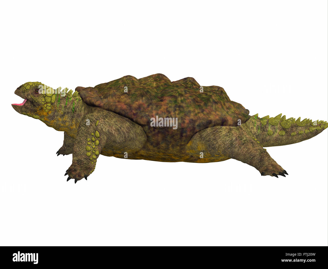 Prehistoric turtle hi-res stock photography and images - Alamy