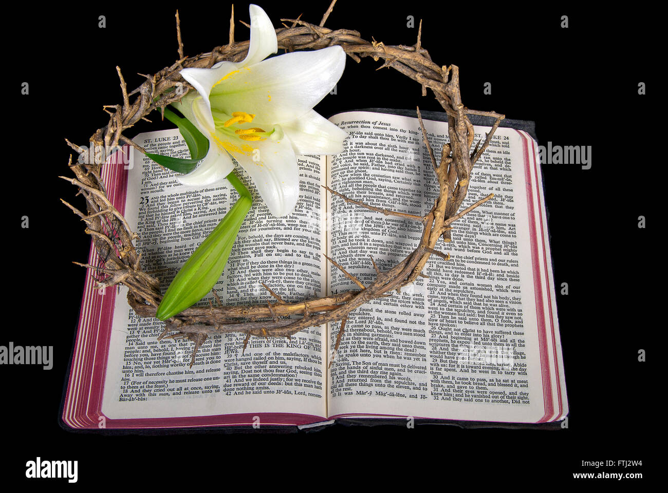 Easter lily and crown of thorns on open Holy Bible isolated on black ...