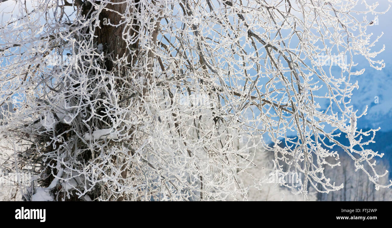 Alaska nature snow hi-res stock photography and images - Alamy
