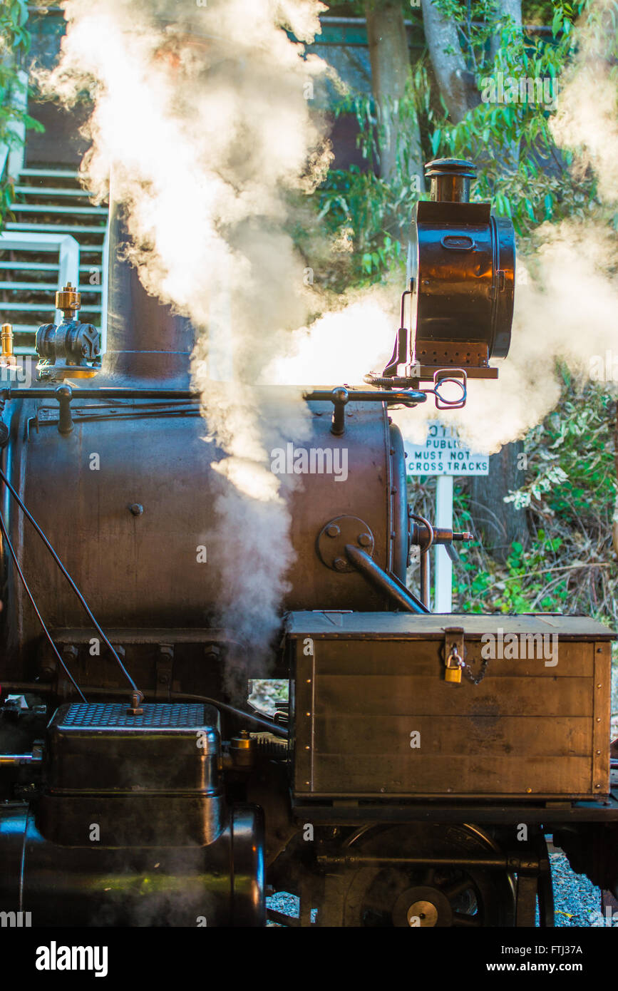 Puffing Billy steam train Stock Photo - Alamy