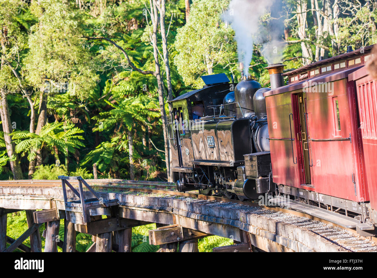 Puffing Billy steam train Stock Photo - Alamy