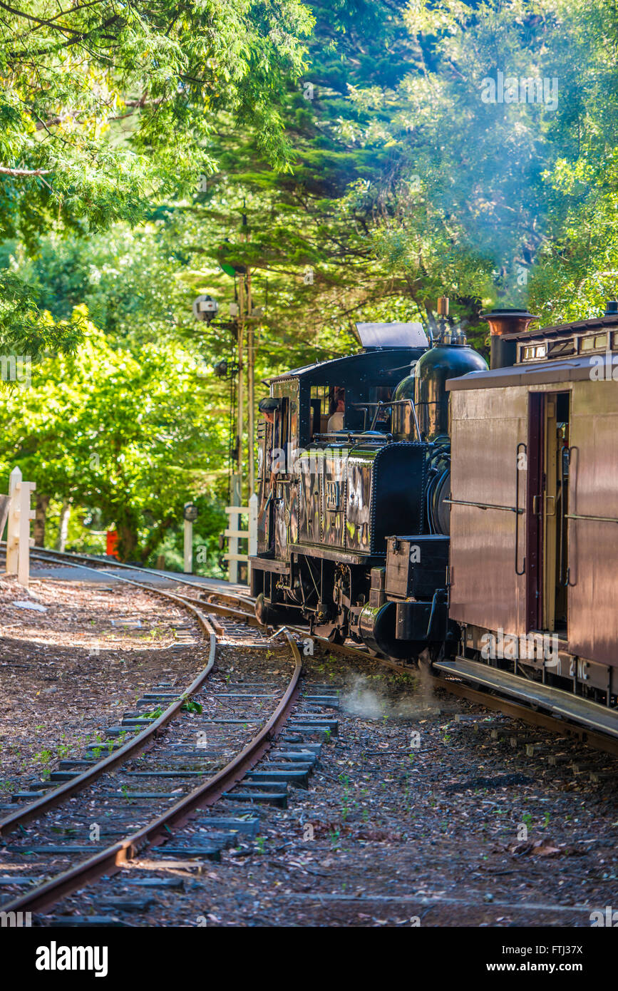 Puffing Billy steam train Stock Photo - Alamy