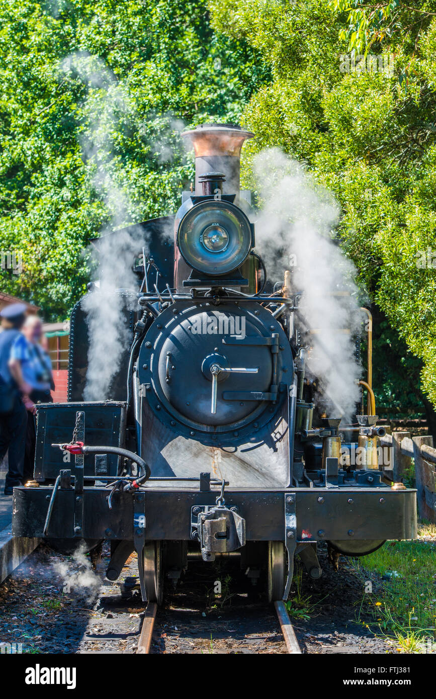 Puffing Billy steam train Stock Photo - Alamy