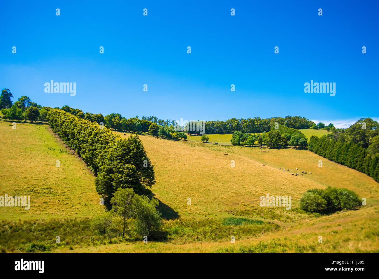 Farm sky farm hi-res stock photography and images - Alamy