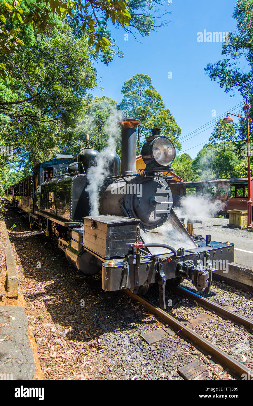 Puffing Billy steam train Stock Photo - Alamy