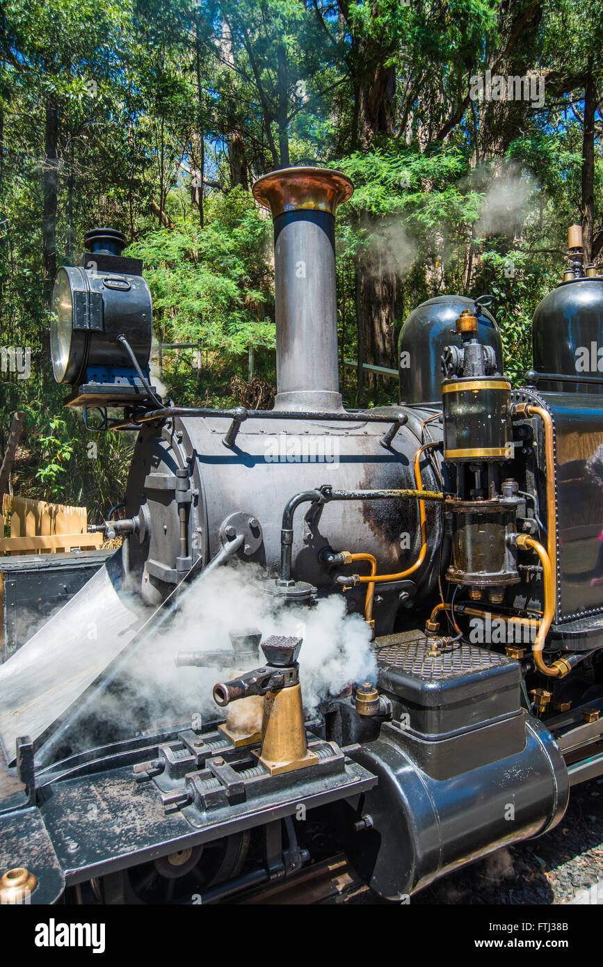 Puffing Billy steam train Stock Photo - Alamy
