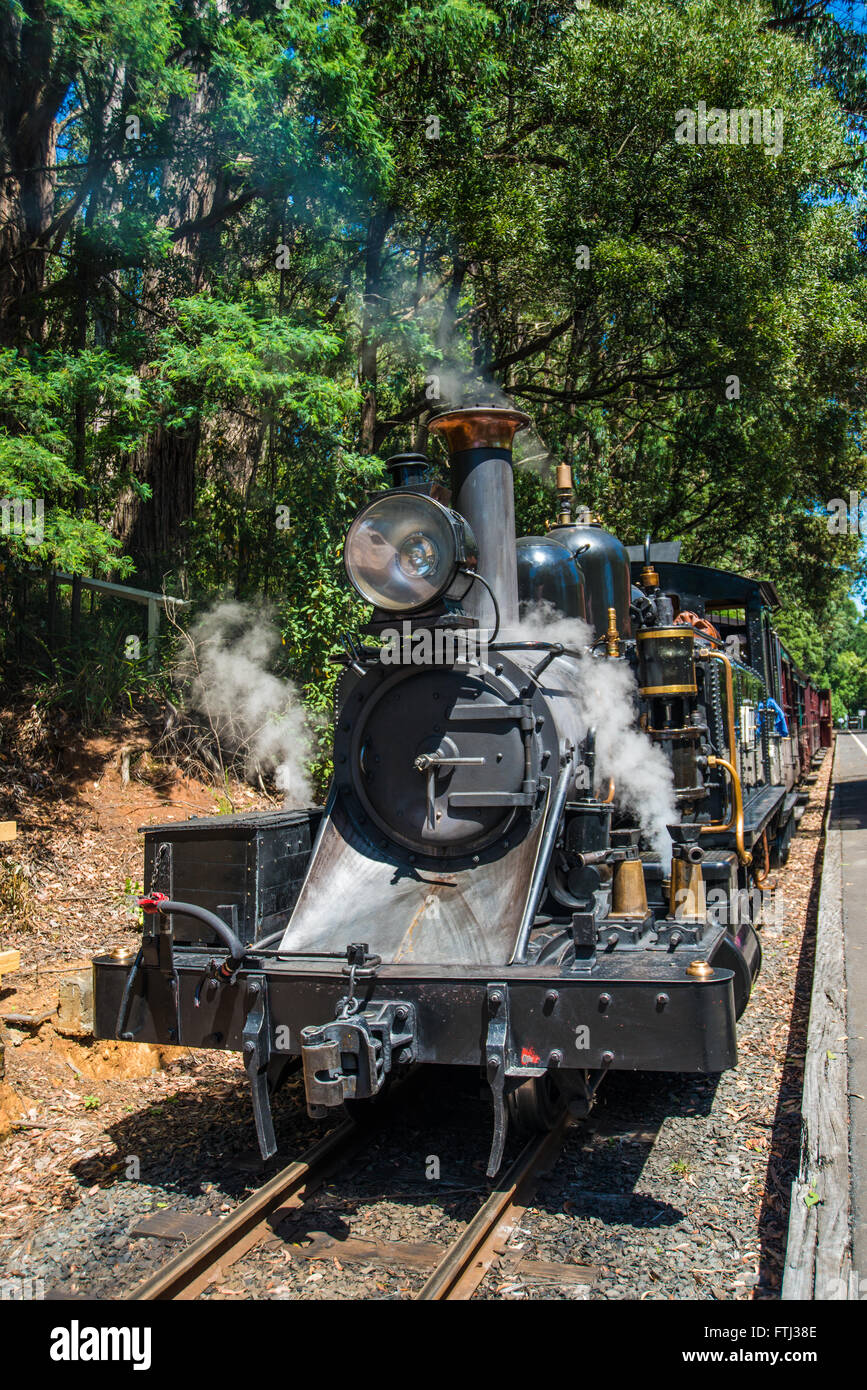 Puffing Billy steam train Stock Photo - Alamy