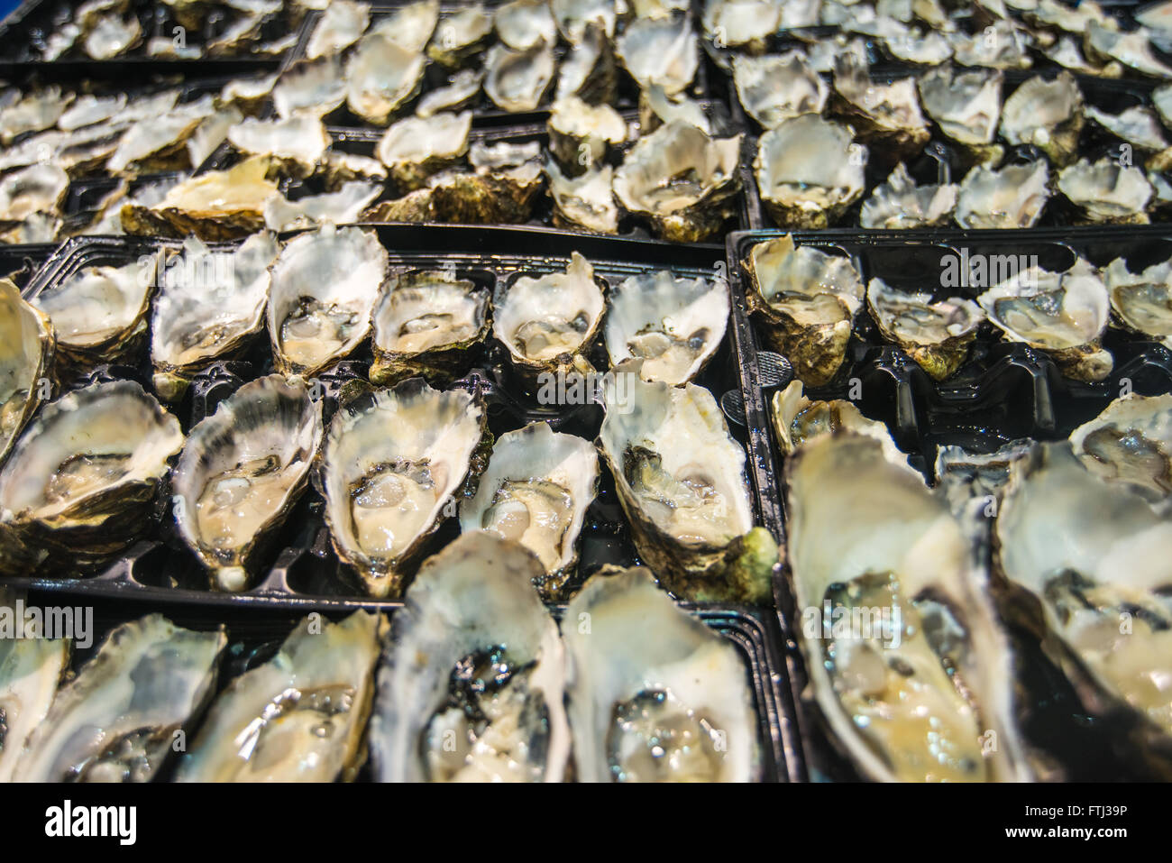 Oysters elegance gourmet hi-res stock photography and images - Alamy