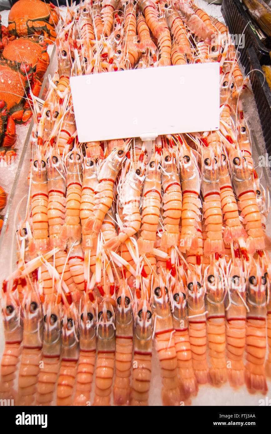 Scampi hi-res stock photography and images - Alamy