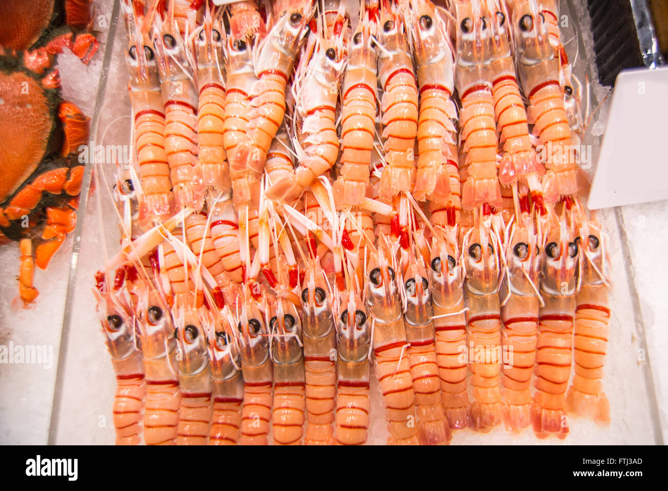 Fresh Scampi at the fish market Stock Photo - Alamy