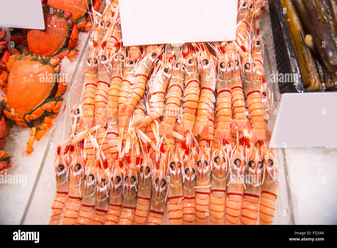 Fresh Scampi at the fish market Stock Photo - Alamy