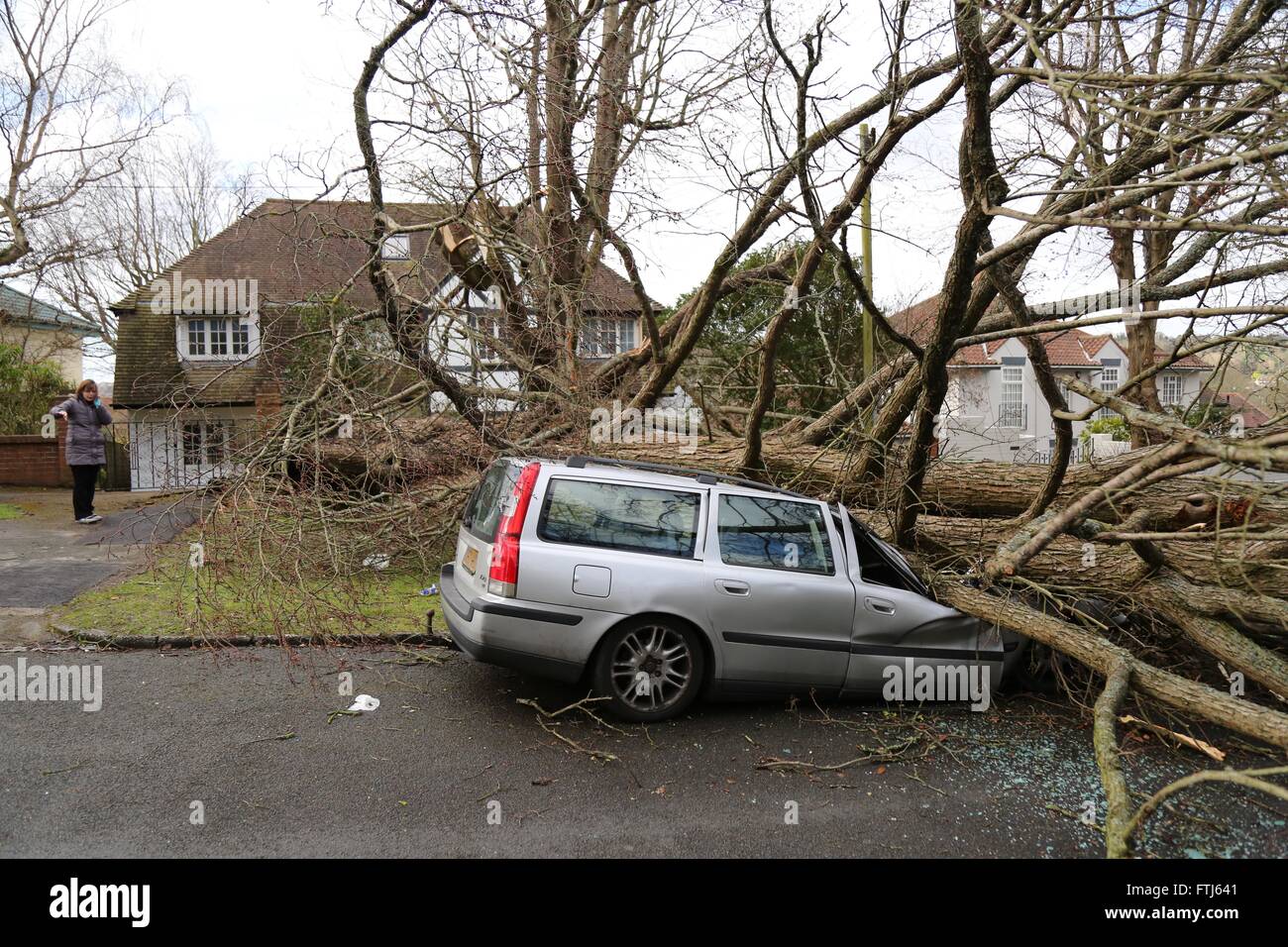 Volvo crushed fallen tree in hi-res stock photography and images - Alamy
