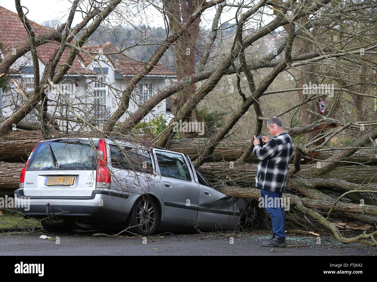 A Volvo is crushed by a fallen tree in Brighton, East Sussex after ...