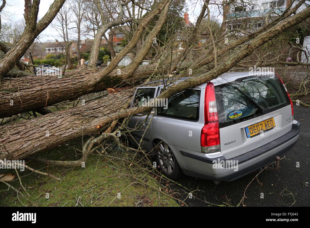 Volvo crushed fallen tree in hi-res stock photography and images - Alamy