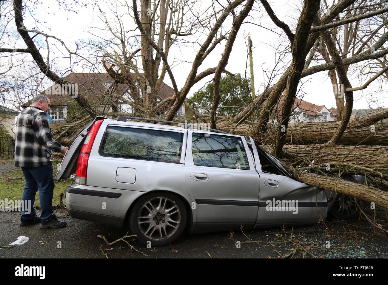 Volvo crushed fallen tree in hi-res stock photography and images - Alamy