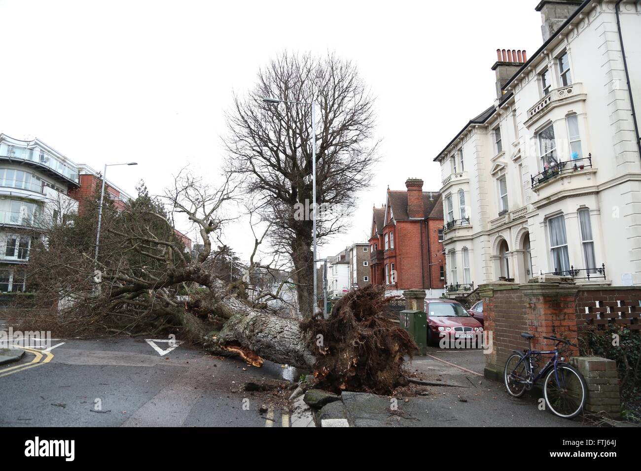 Tree fallen across road hi-res stock photography and images - Alamy