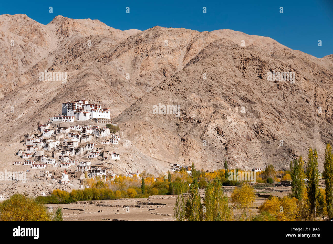 Chemrey monastery in hymalayas valley of Ladakh, India Stock Photo - Alamy