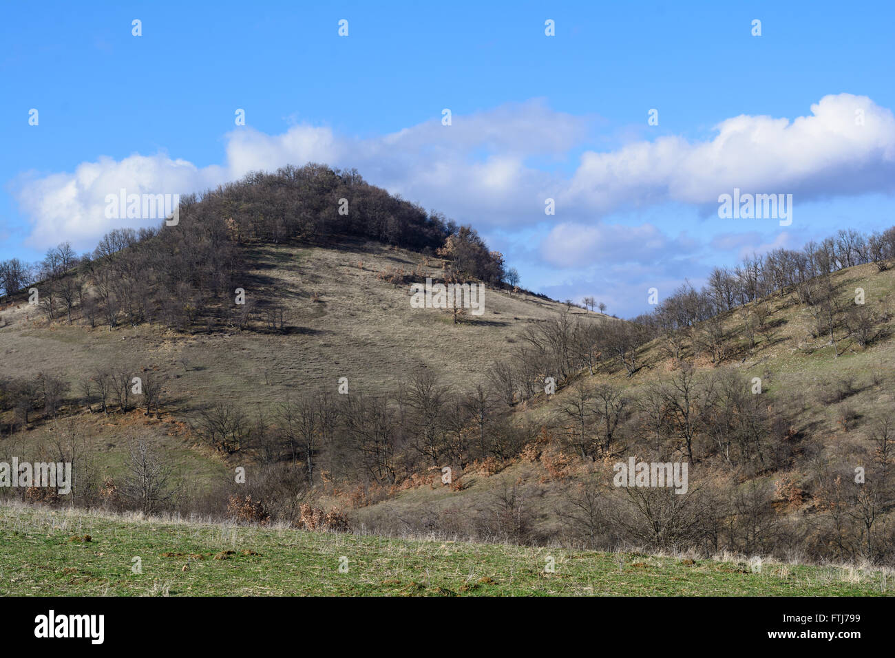 Beautiful landscape in bulgaria forest hi-res stock photography and ...