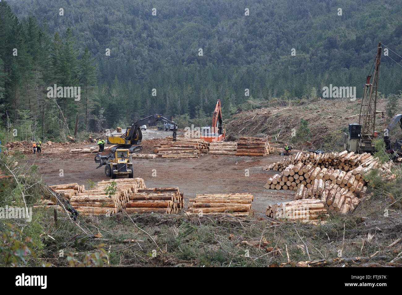 Log logging logging forest hi-res stock photography and images - Alamy