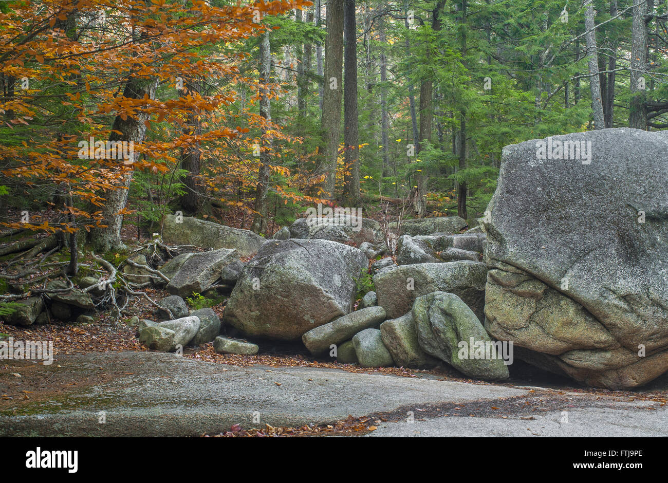 Pemigewasset River, White Mountain National Forest, New Hampshire, USA ...