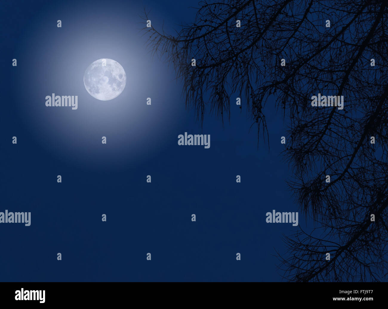 Midnight horror tree hi-res stock photography and images - Alamy