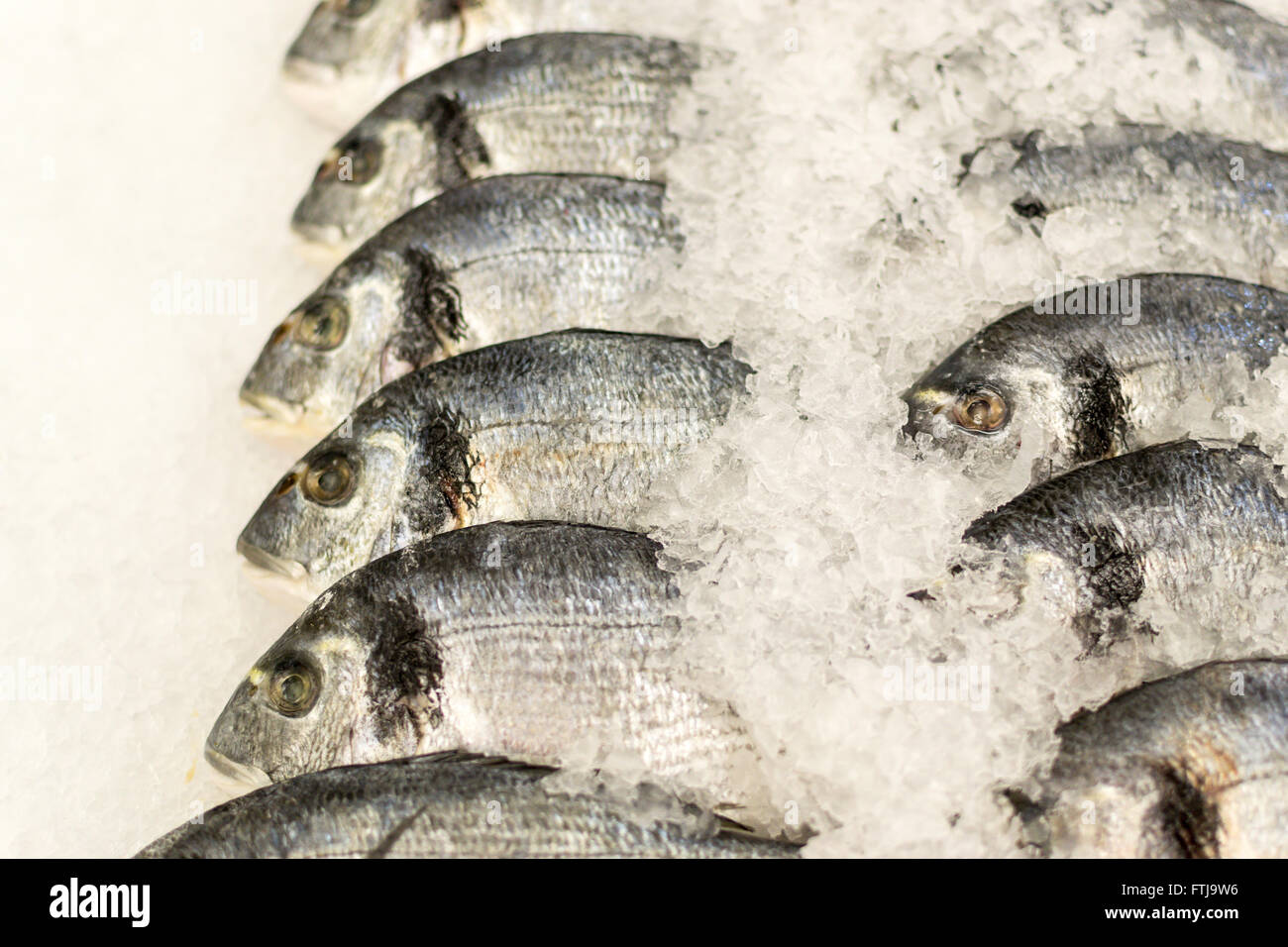 Rows of fresh fish on display in a market resting on ice Stock Photo ...