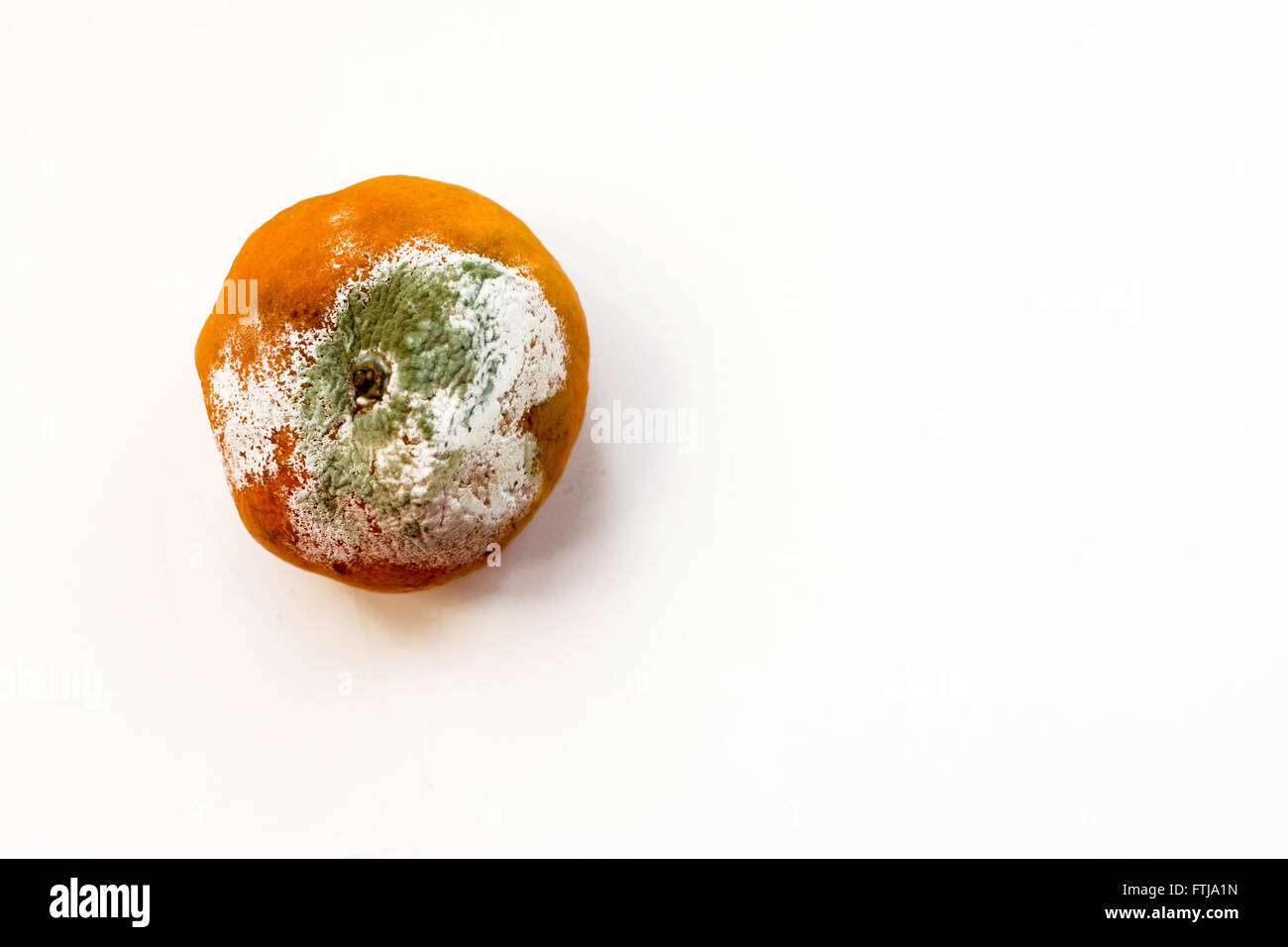 Rotten color image hi-res stock photography and images - Alamy