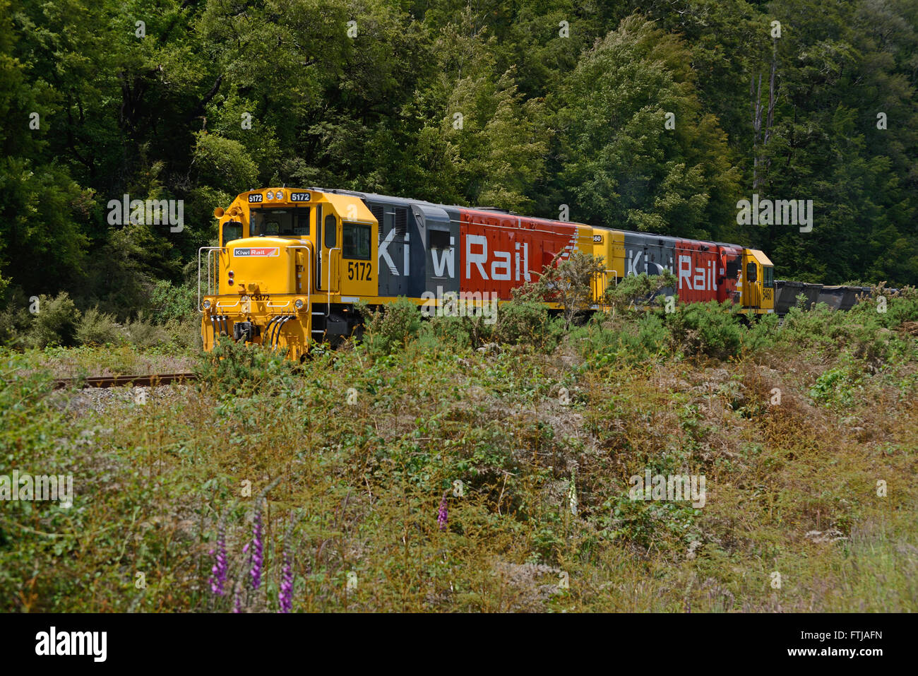 New zealand electric train hi-res stock photography and images - Alamy