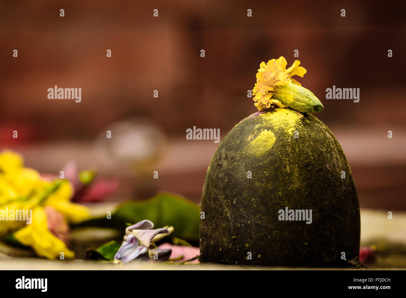 Lingam, a phallus symbol and representation of Hindu deity Shiva ...