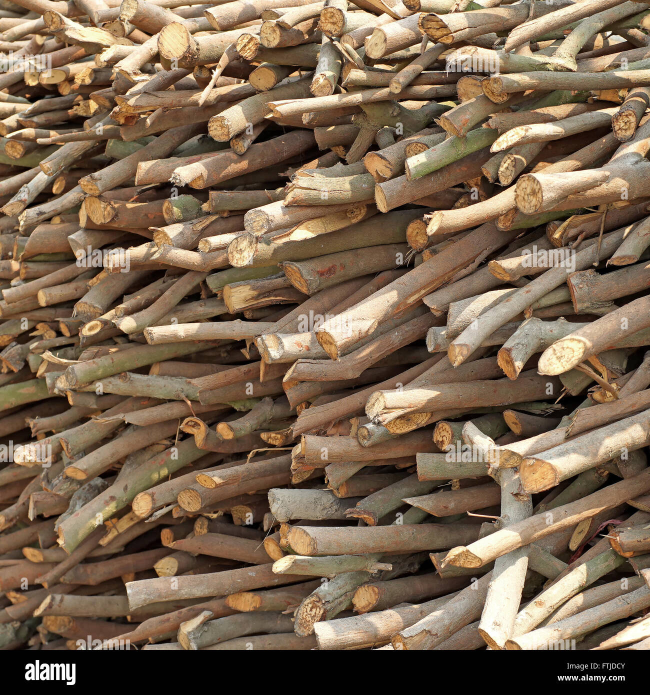 stump stack background or texture Stock Photo - Alamy
