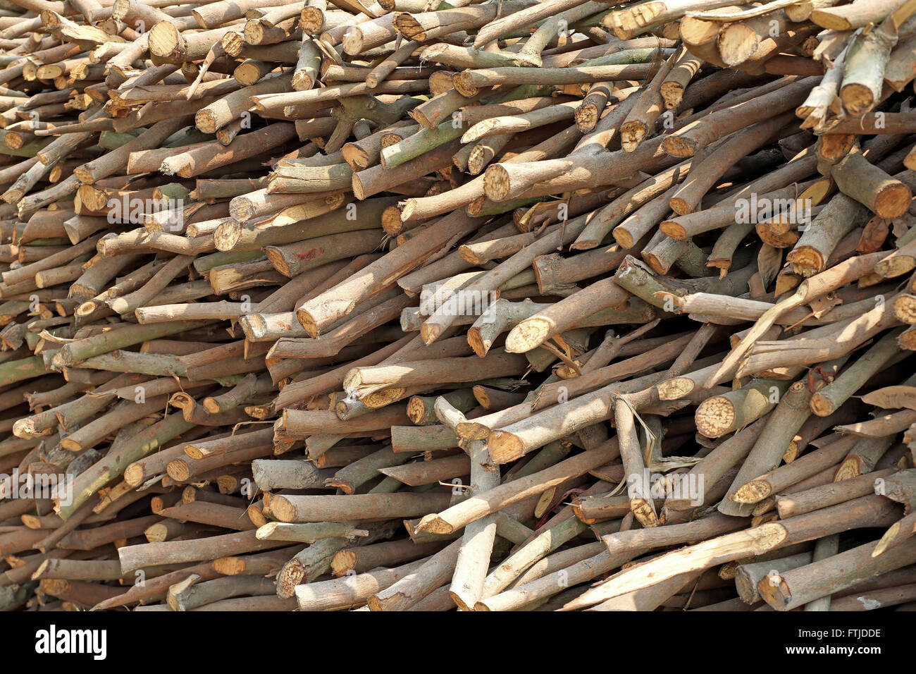 stump stack background or texture Stock Photo - Alamy