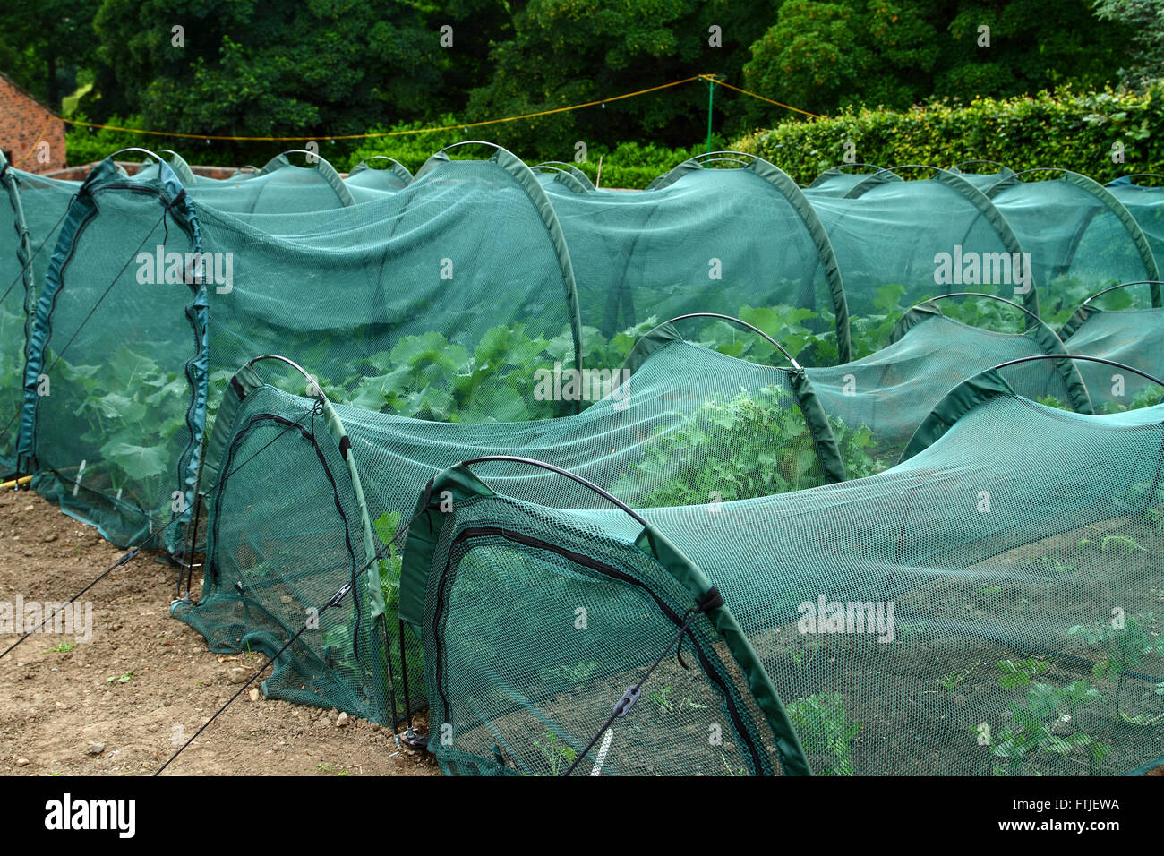 Vegetable tunnel hi-res stock photography and images - Alamy