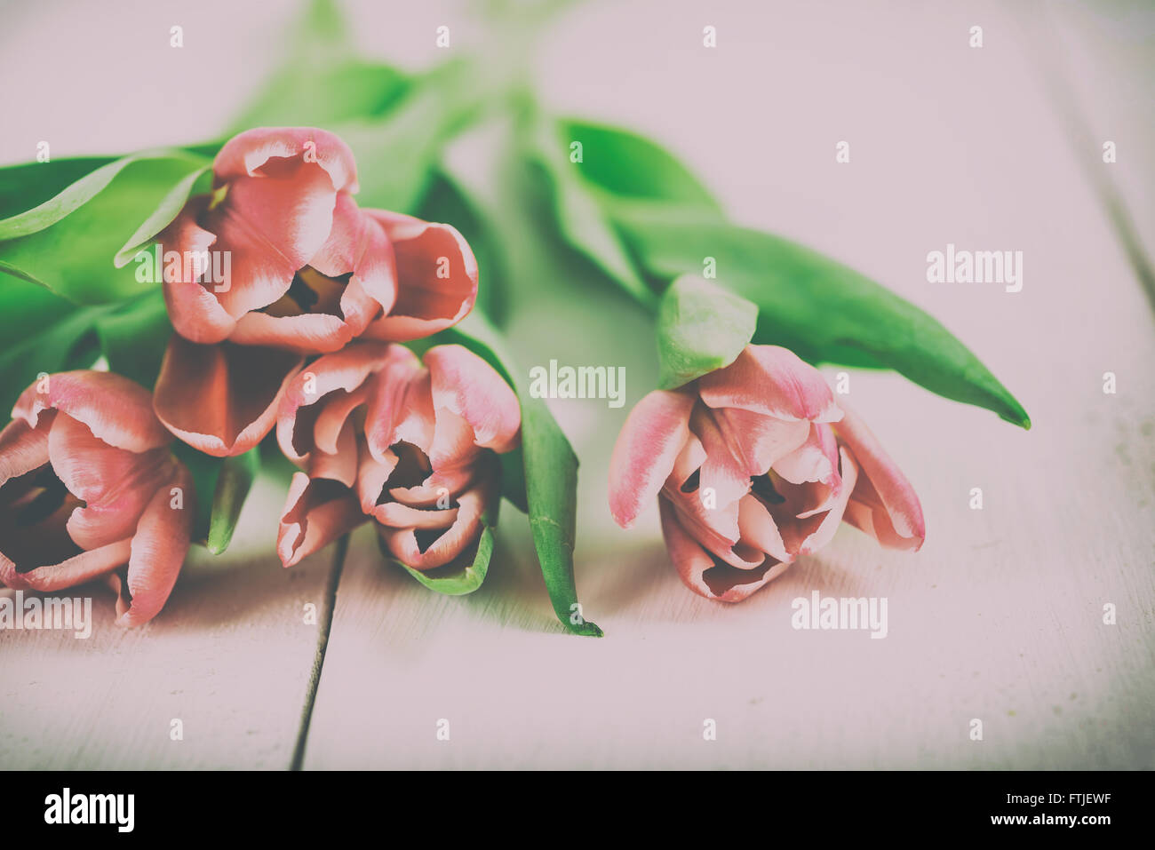 Red Spring Tulips On Wood Table Stock Photo - Alamy