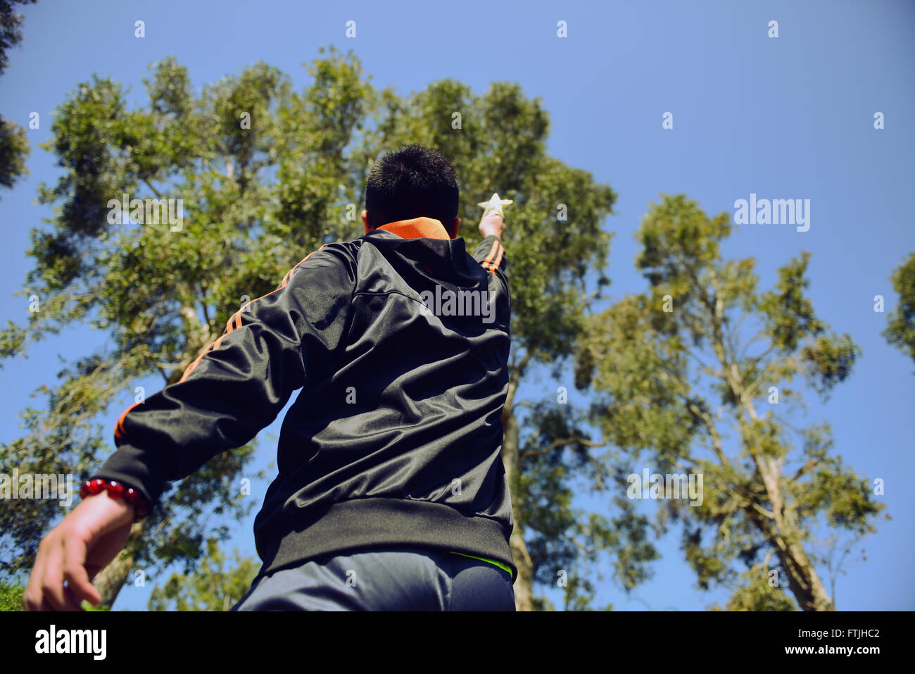 Star tree sky hi-res stock photography and images - Alamy