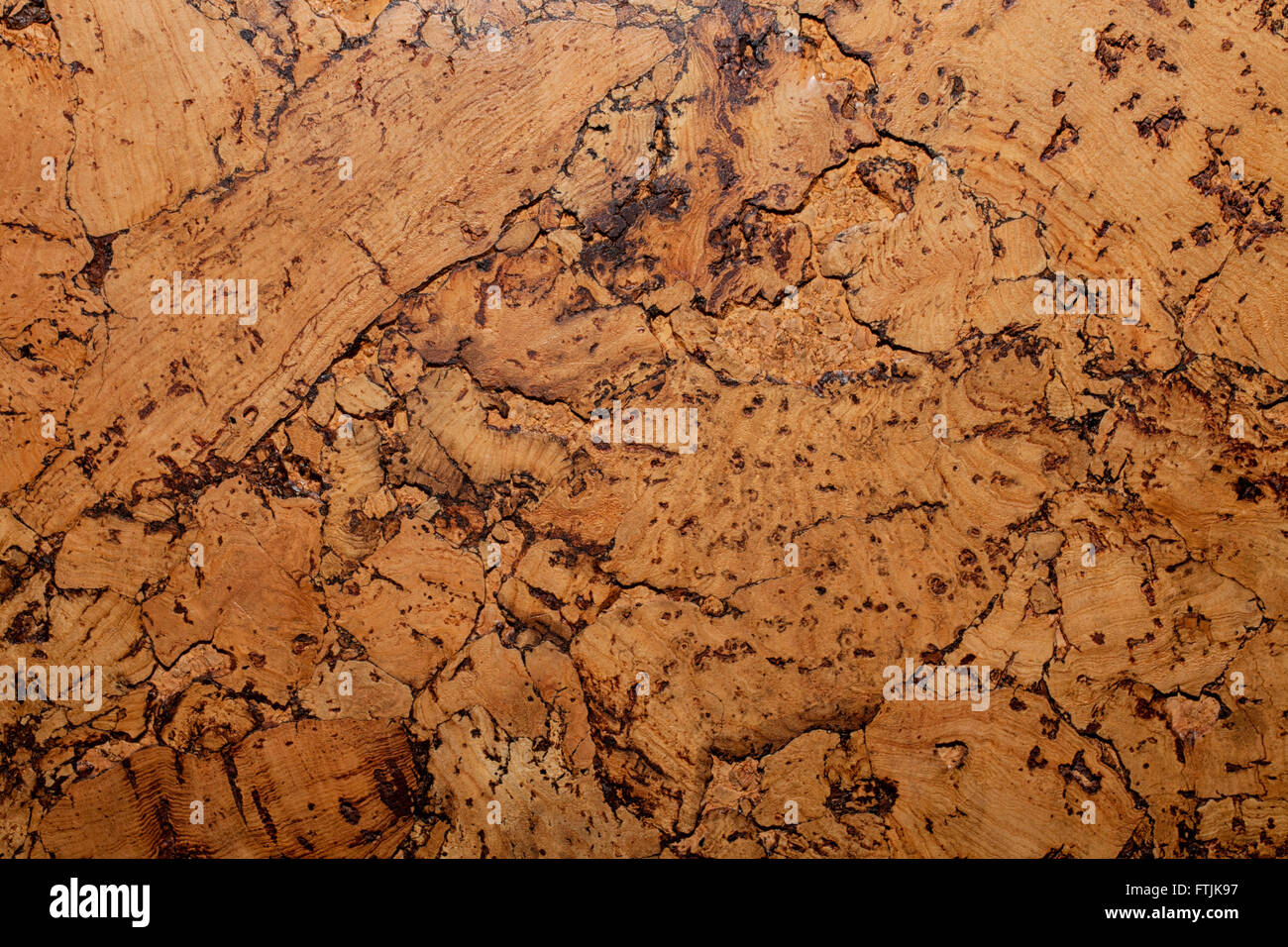 Texture of decoration material cork closeup Stock Photo - Alamy