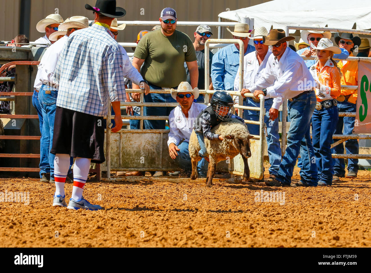 Young child riding on the back of a sheep, taking part in "Mutton ...