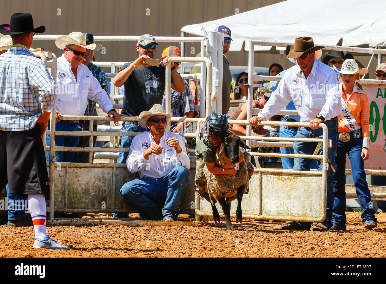 Young child riding on the back of a sheep, taking part in "Mutton ...