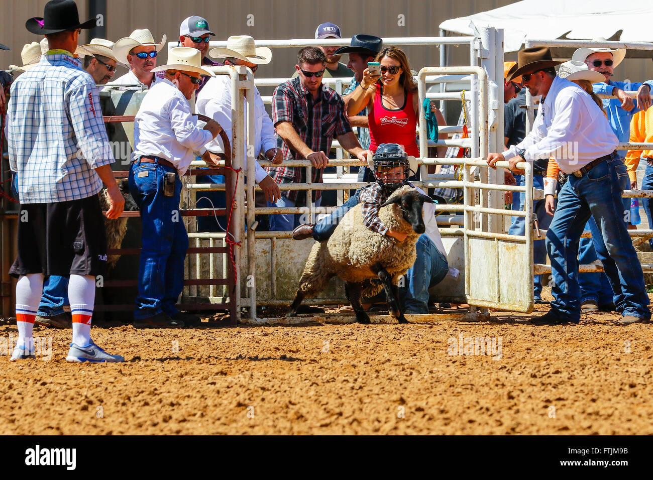 Children ride sheep hi-res stock photography and images - Alamy