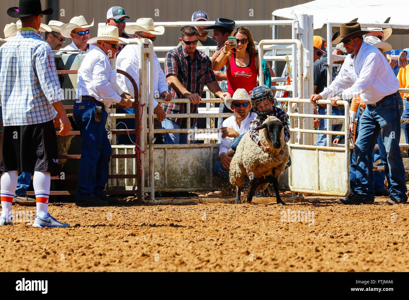 Young child riding on the back of a sheep, taking part in "Mutton ...