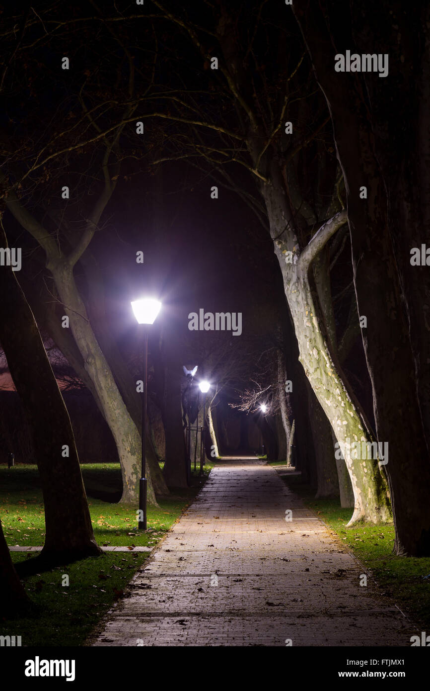 Small road at night Stock Photo - Alamy