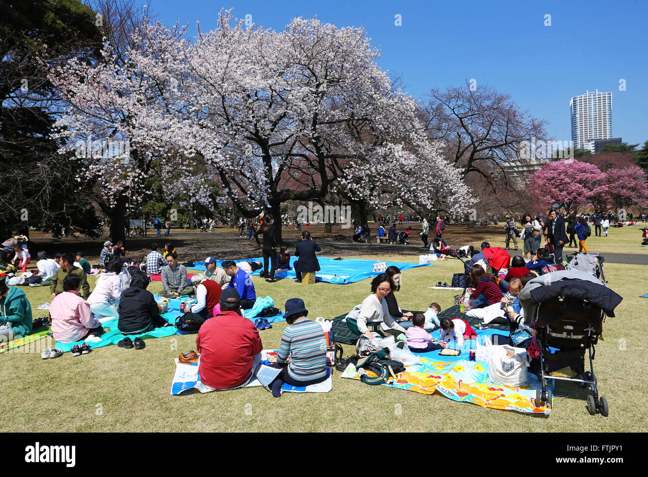 Japanese hanami picnics hi-res stock photography and images - Alamy