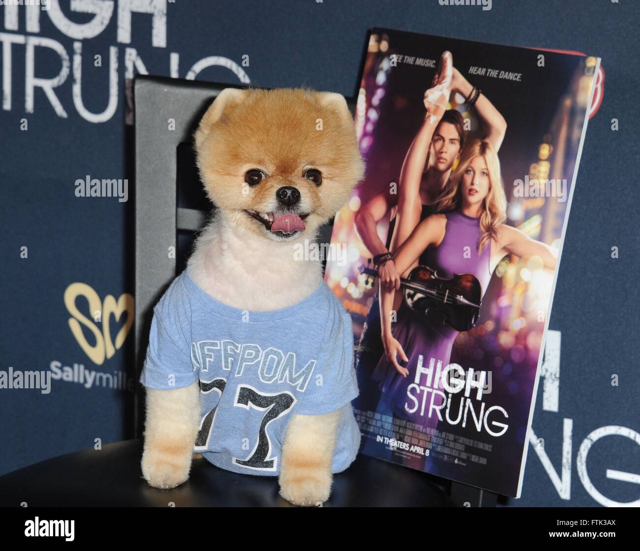 Los Angeles, CA, USA. 29th Mar, 2016. Jiffpom at arrivals for HIGH ...