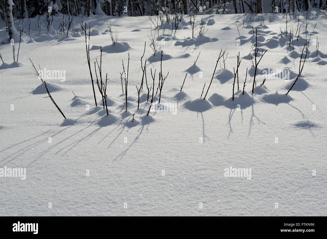 Sun casting shadow in snow hi-res stock photography and images - Alamy