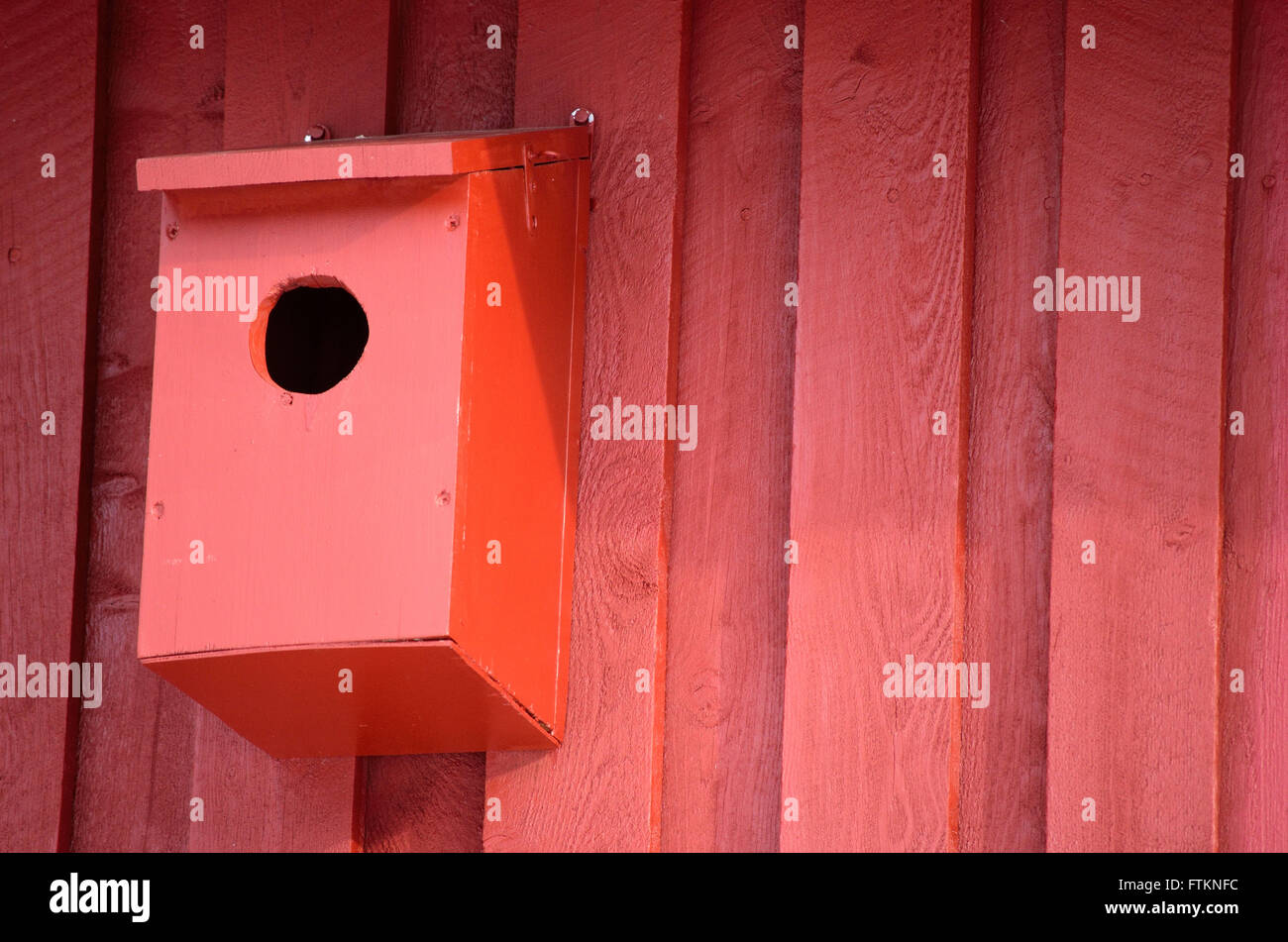 red bird house on barn wall in sunshine Stock Photo - Alamy