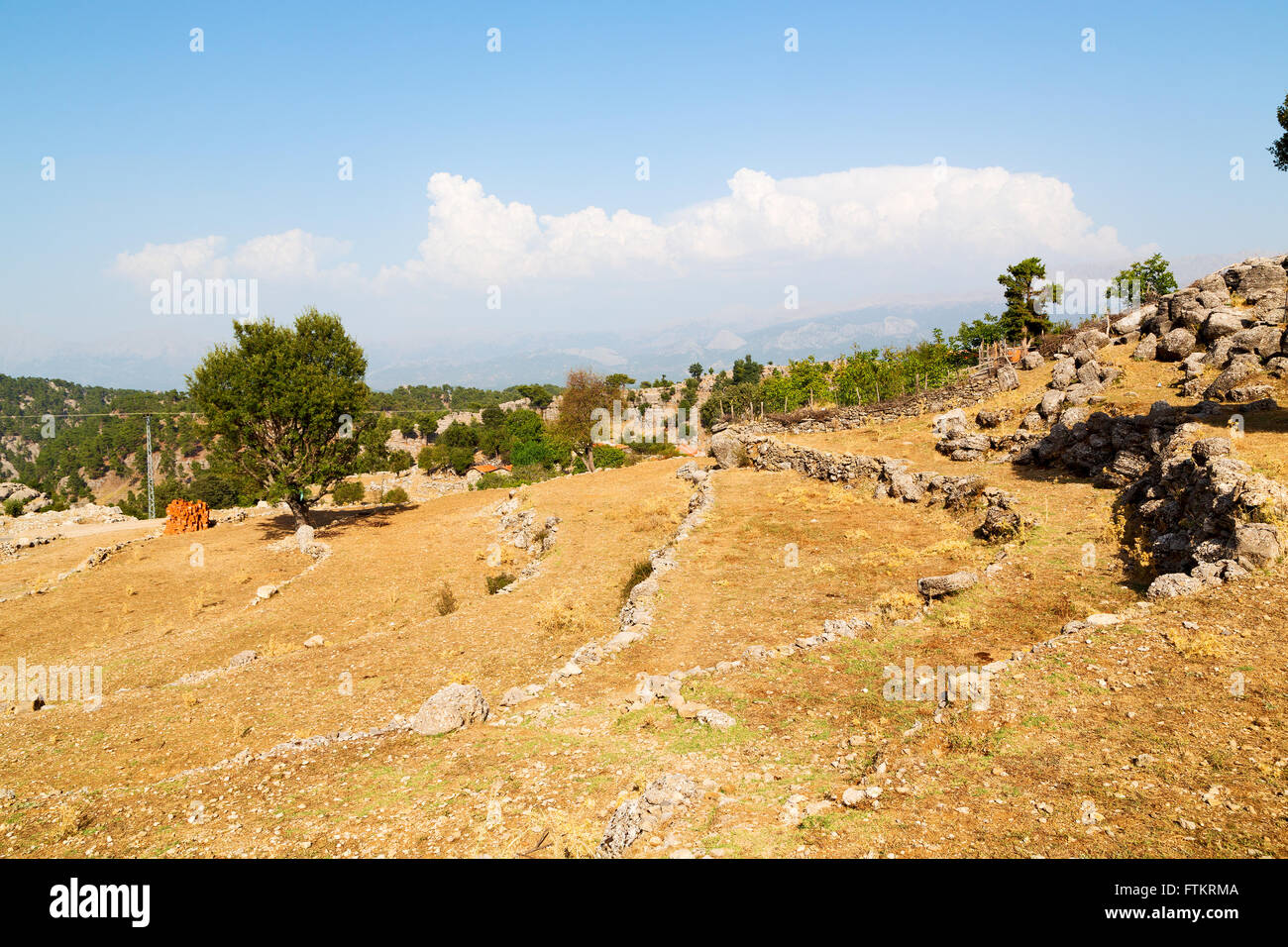 the hill in asia turkey selge old architecture ruins and nature Stock ...