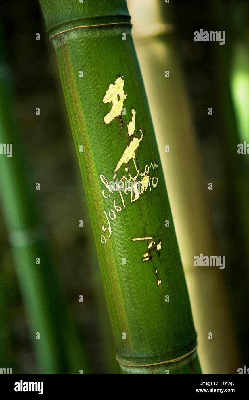 Bamboo sign hi-res stock photography and images - Alamy