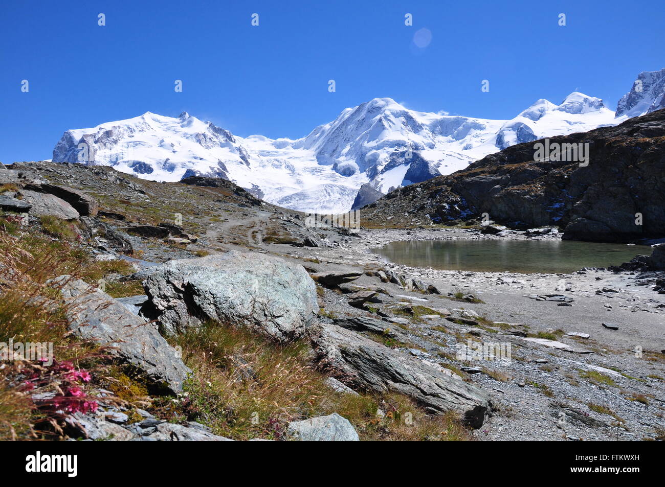 Alpine scene in Swiss alps showing summer hiking trail and glaciers ...