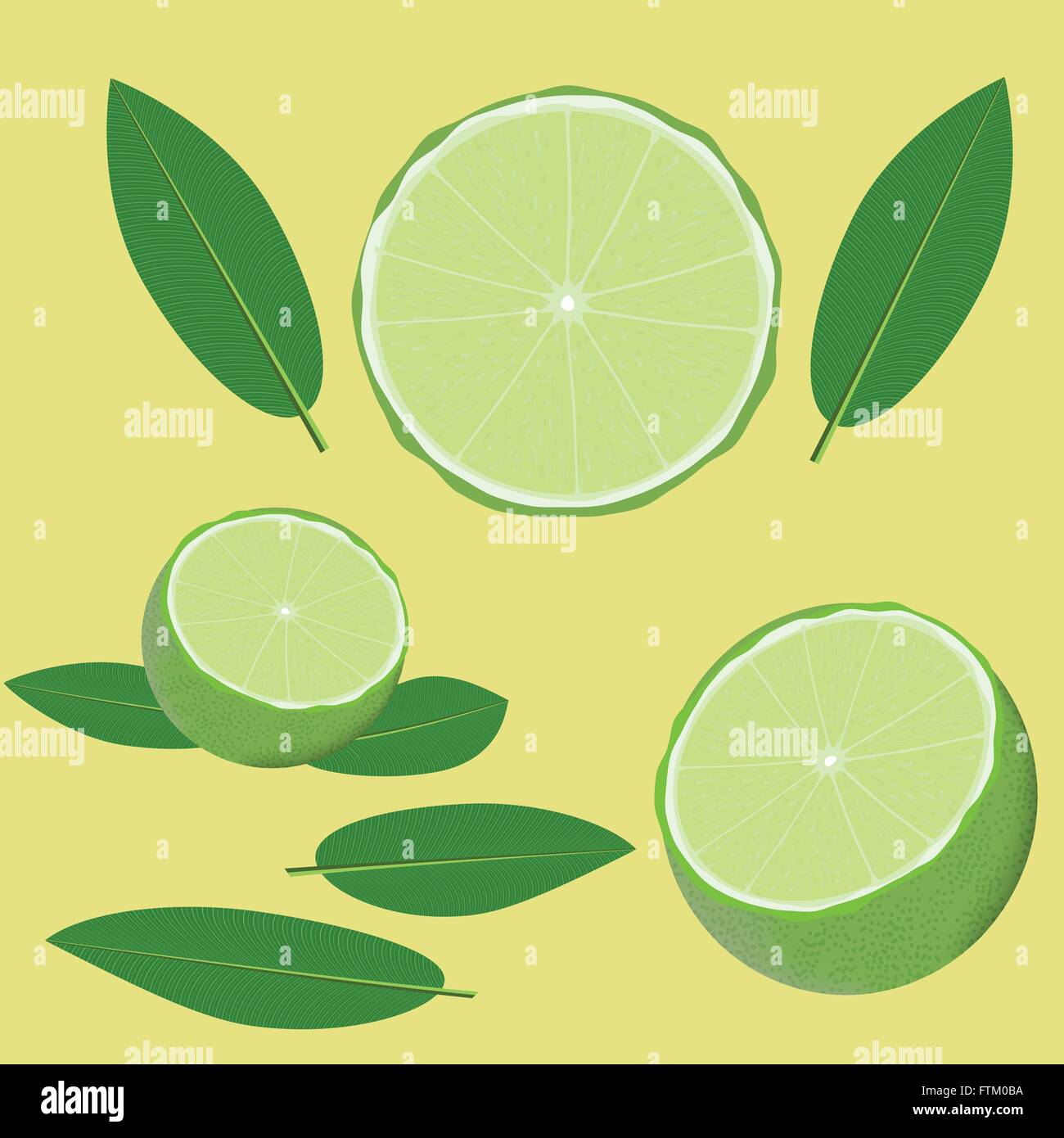 lime and leaves Stock Vector Image & Art - Alamy