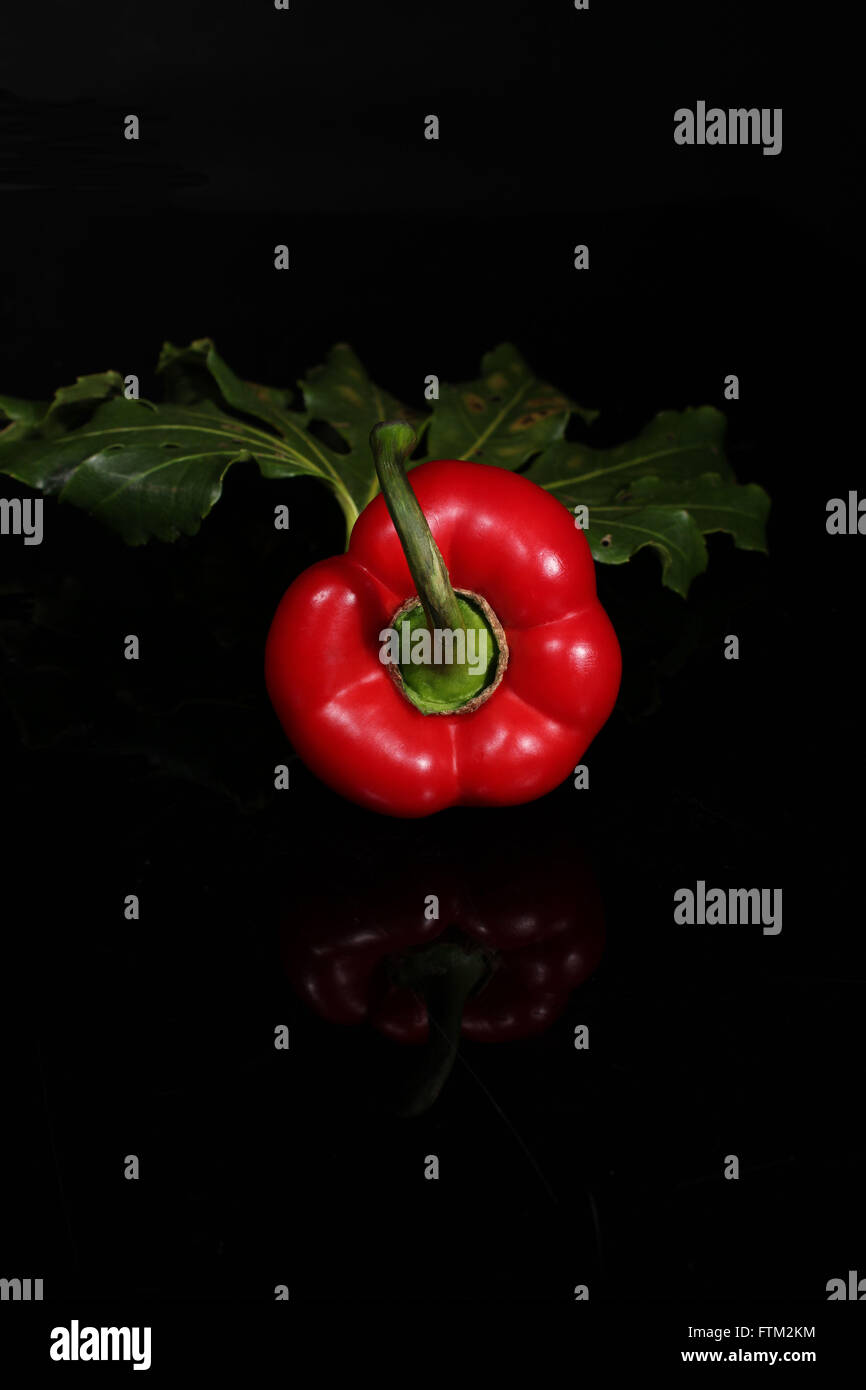 Studio shots hi-res stock photography and images - Alamy